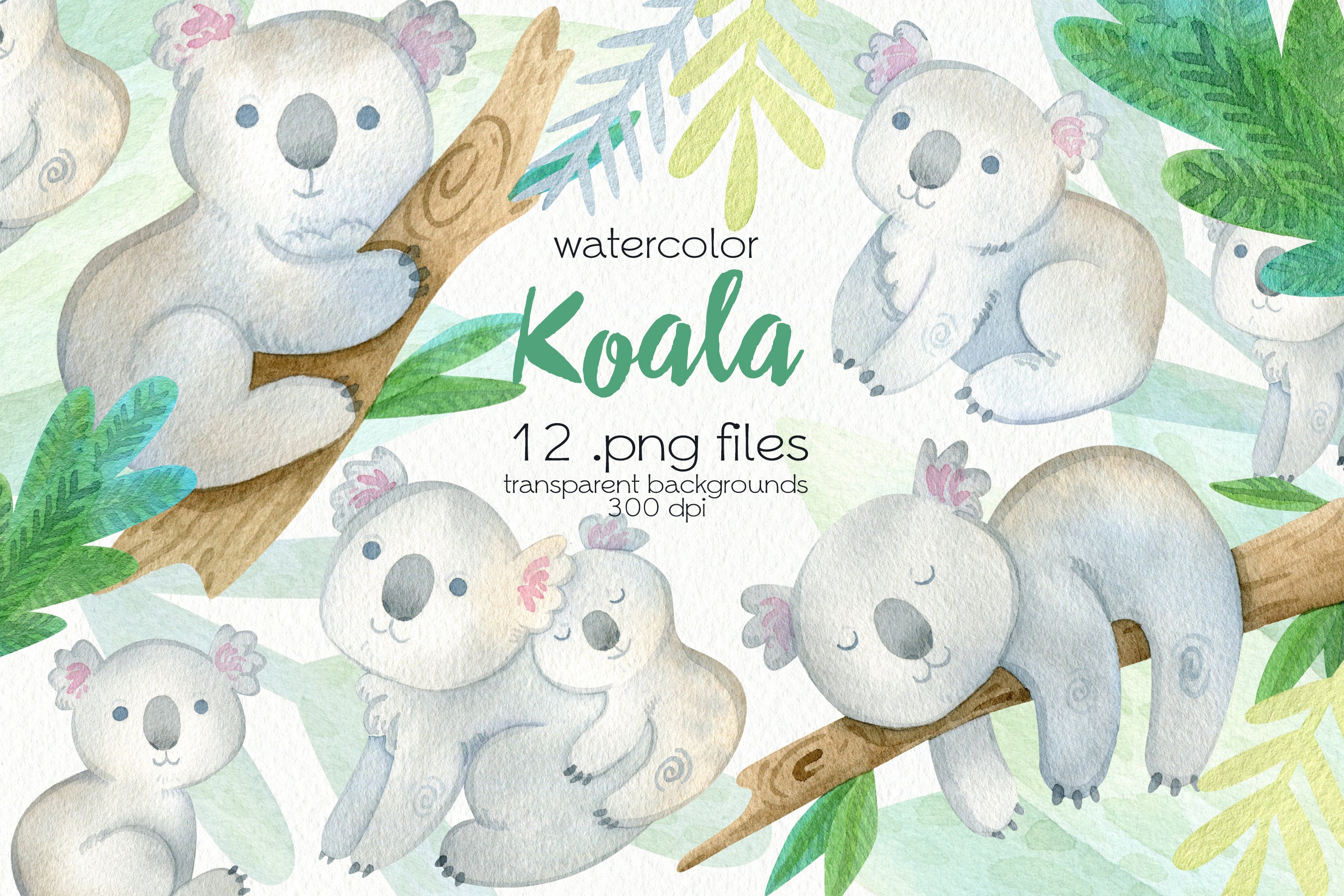 Watercolor Koala Clipart / Australian Wildlife / PNG Files / - Etsy