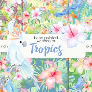 Watercolor Tropical Birds Digital Paper / Parrots Scrapbook Paper ...