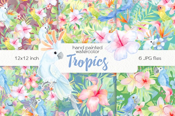 Watercolor Tropical Birds Digital Paper / Parrots Scrapbook - Etsy