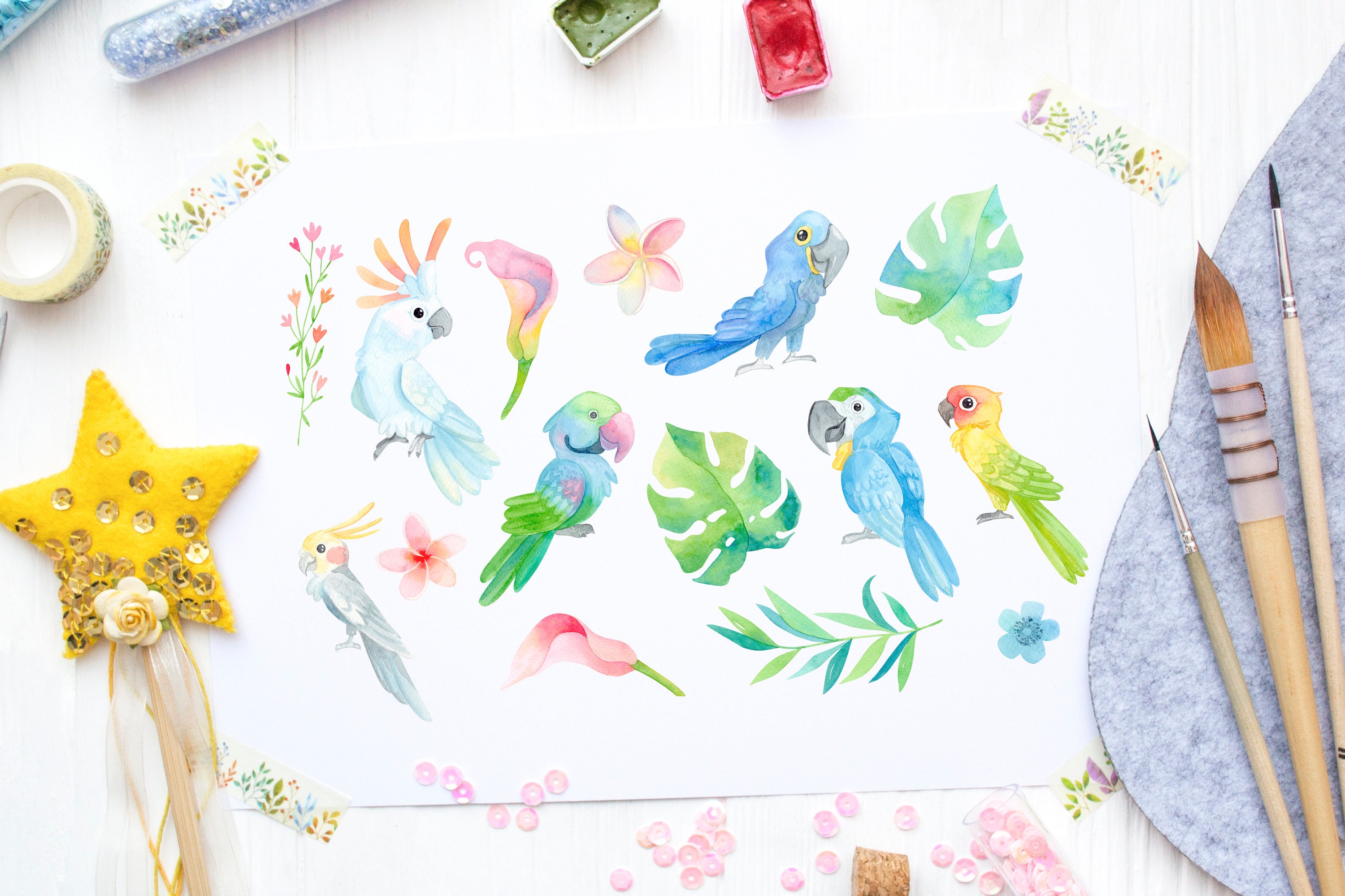 Watercolor Tropical Birds Clipart / Parrot Clip Art / Exotic - Etsy