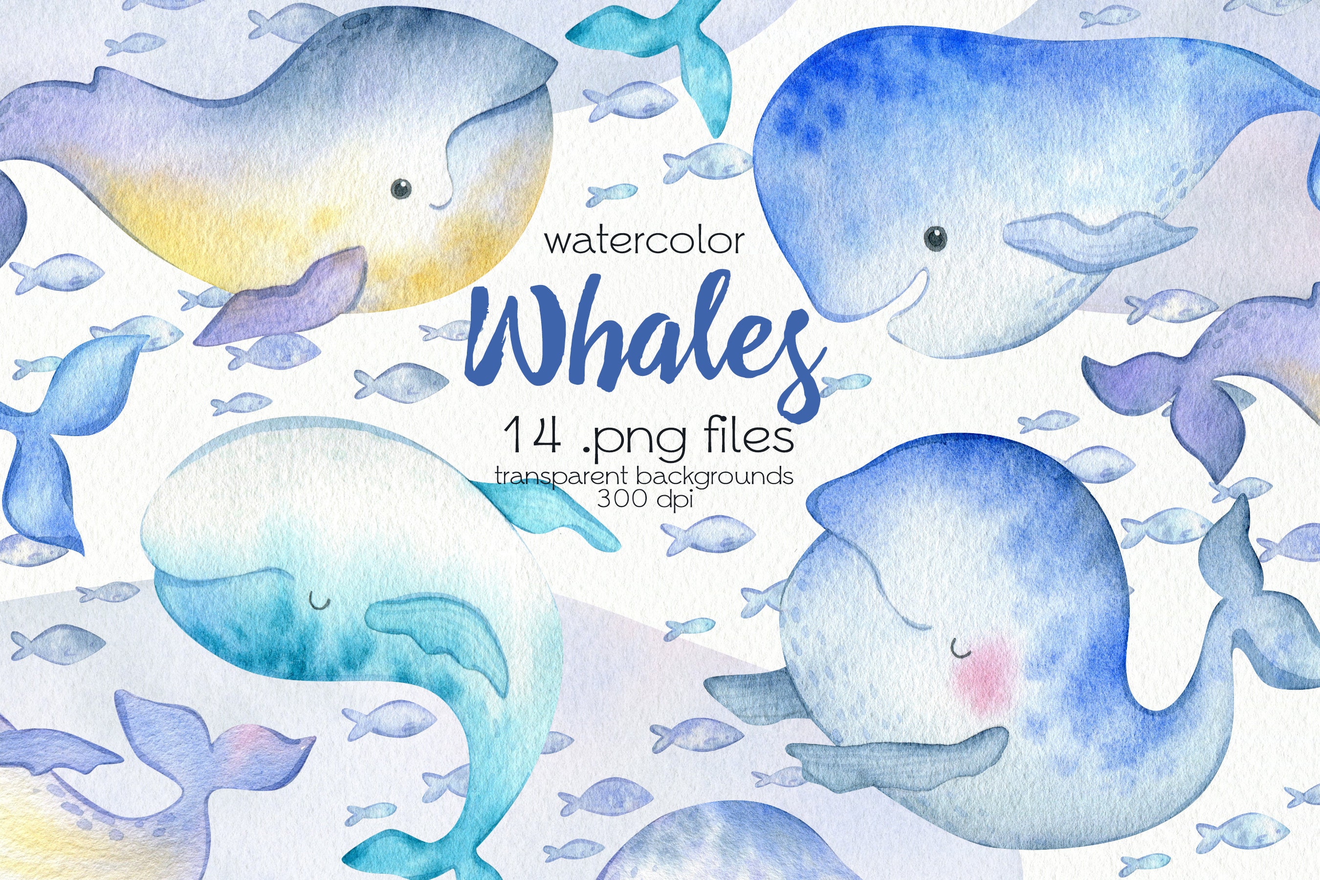 Watercolor Whales Clipart / Ocean Animals / Digital PNG Files - Etsy