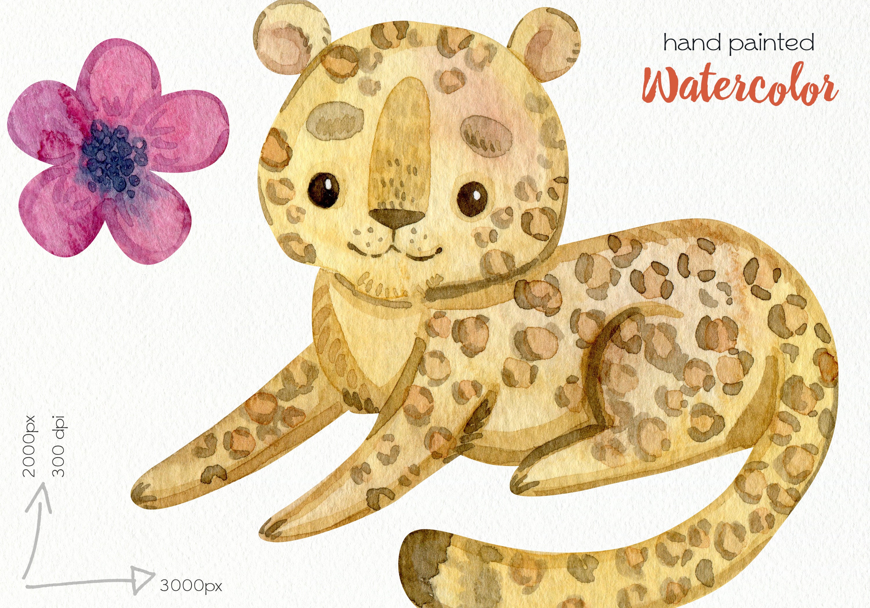 Watercolor Jungle Animals / Tropical Animal Clipart / Cute Zoo | Etsy