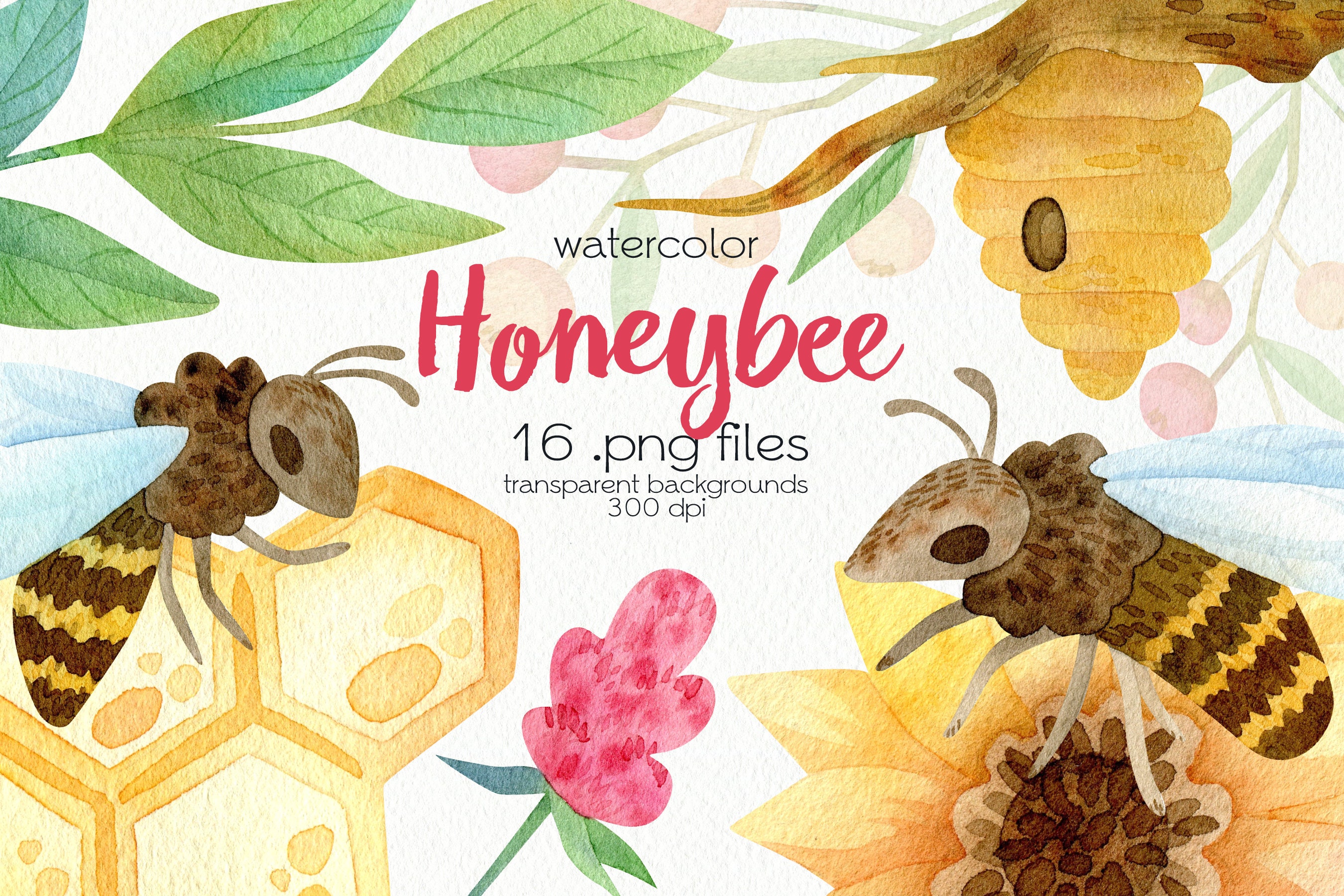 Watercolor Honeybee Clipart / PNG Files / Instant Download - Etsy
