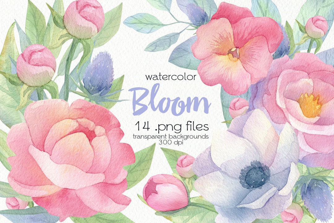 Watercolor Spring Flowers Clipart / Peonies, Anemones, Pansies / PNG ...