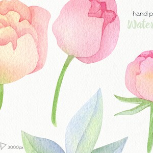 Watercolor Spring Flowers Clipart / Peony Flowers / PNG Files / Instant ...