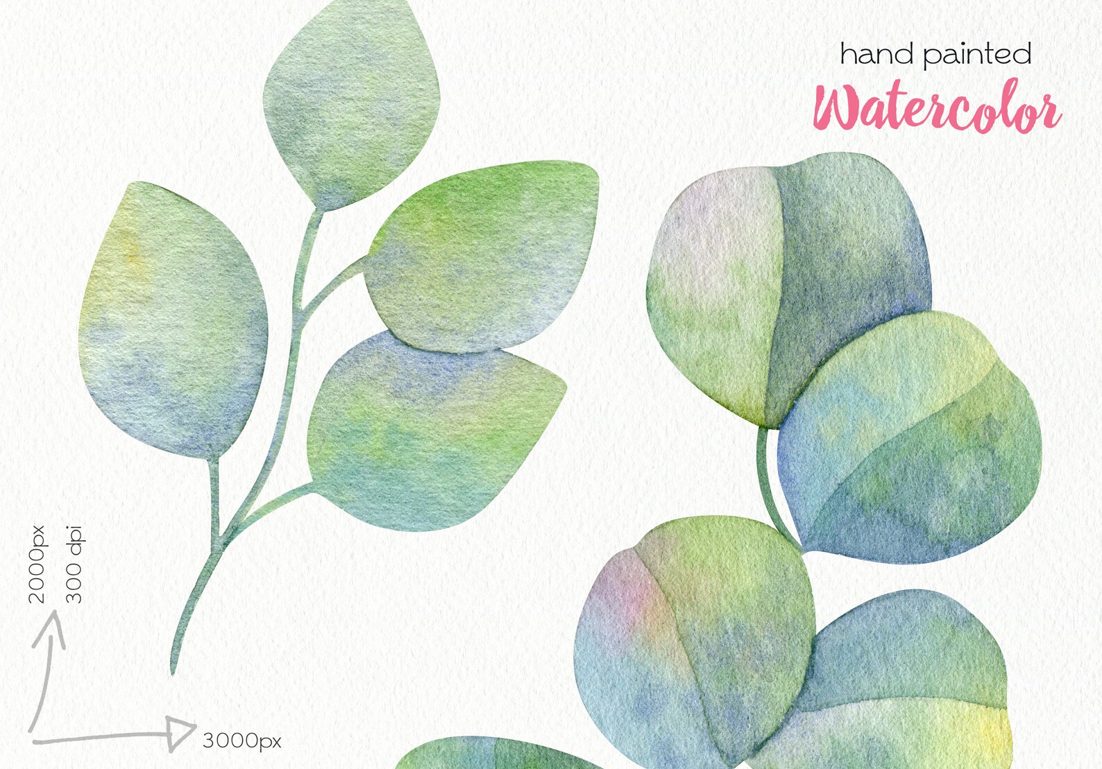 Watercolor Tropical Clipart / Summer Tropical Leaves and | Etsy