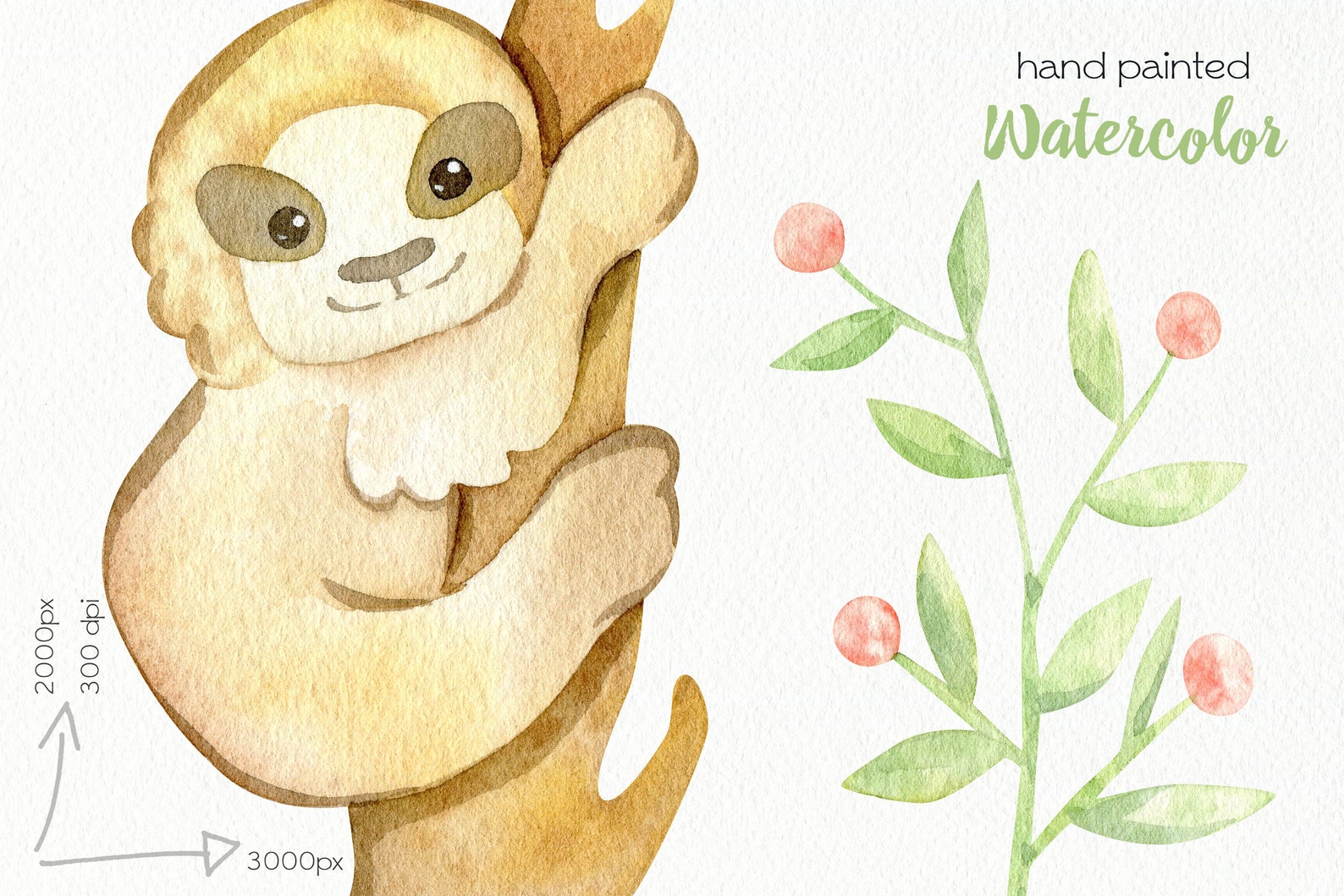 Watercolor Sloth Clipart / Cute Tropical Animal / Digital PNG - Etsy