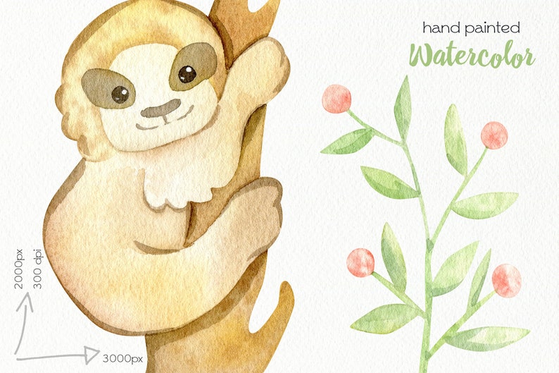 Watercolor Sloth Clipart / Cute Tropical Animal / Digital PNG - Etsy