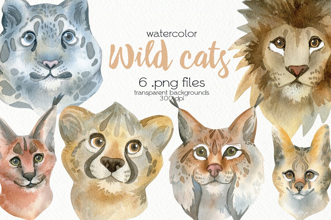 Cute Wild Cats Clipart / Hand Painted Watercolor Animals / Snow Leopard ...