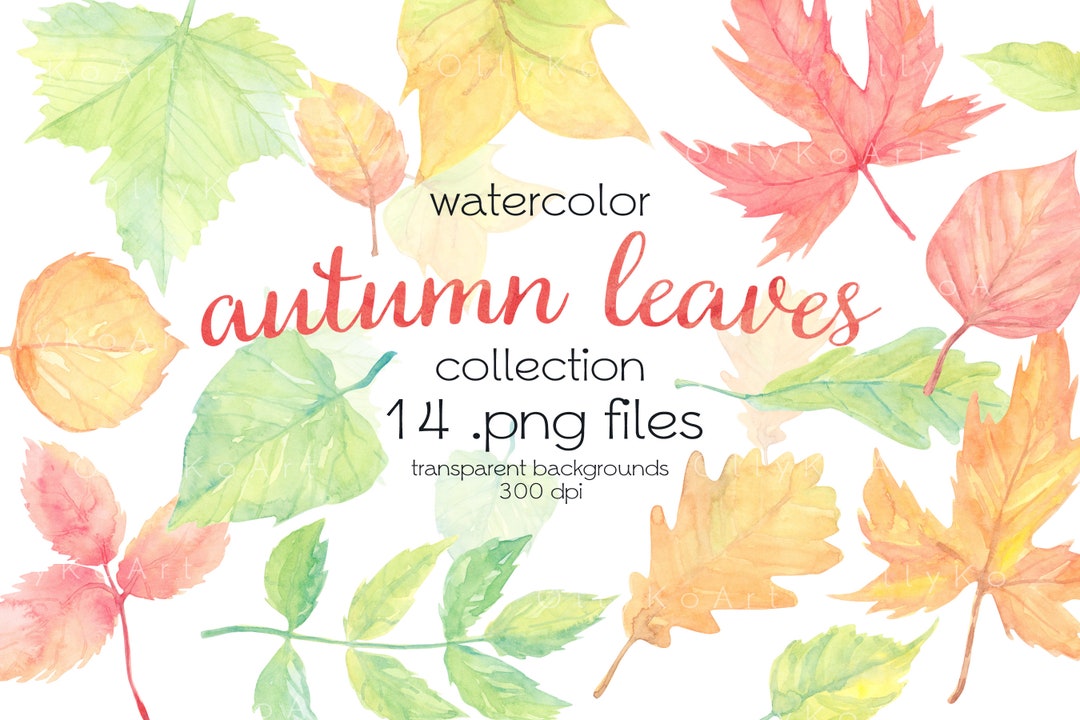 Watercolor Autumn Leaves / Fall Leaf Clipart / Hand Painted Leaves ...