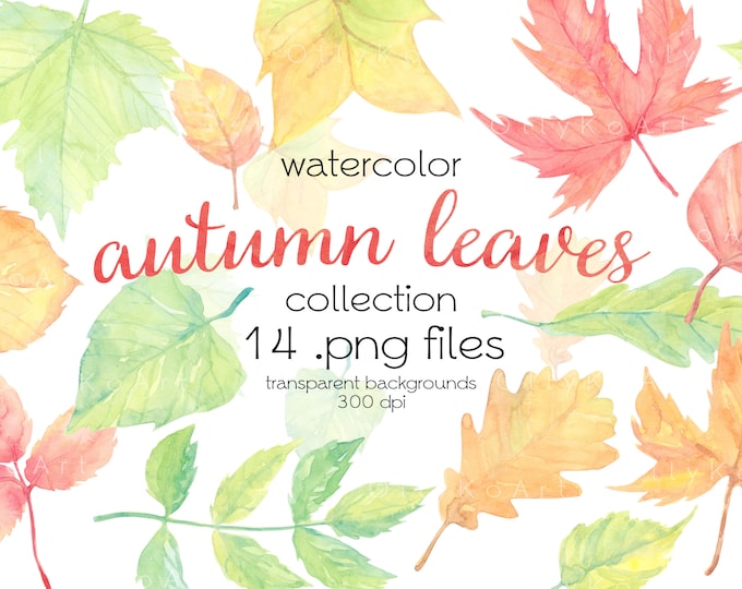Watercolor Fall Leaf Clipart Art Printable 20 Digital Downloads - Etsy ...