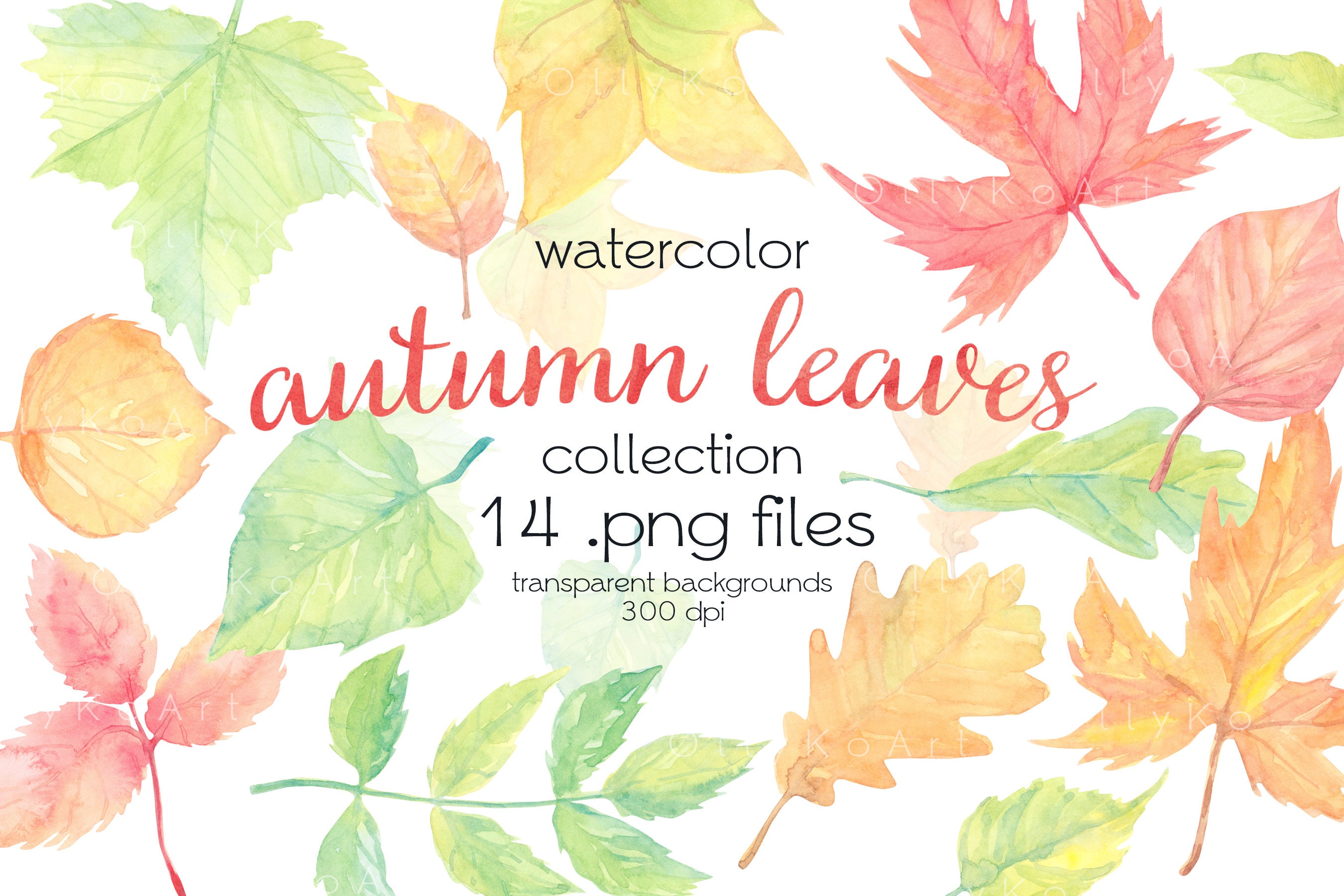 Watercolor Autumn Leaves / Fall Leaf Clipart / Hand Painted | Etsy