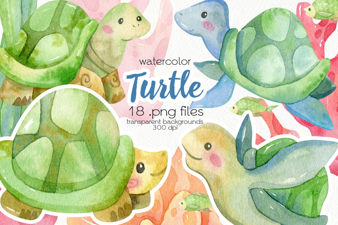 Watercolor Turtle Clipart / PNG Files / Instant Download - Etsy