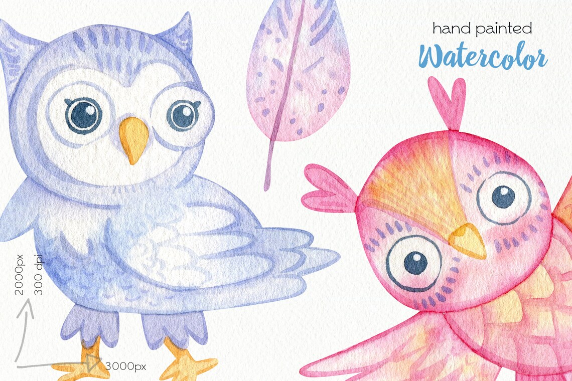 Watercolor Owls Clipart / Cartoon Birds / PNG Files / Instant - Etsy