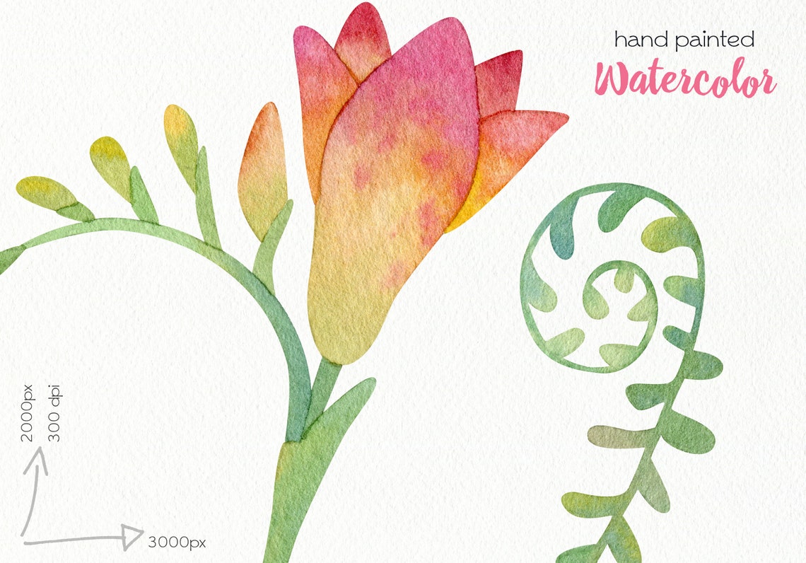 Watercolor Tropical Clipart / Summer Tropical Leaves and | Etsy