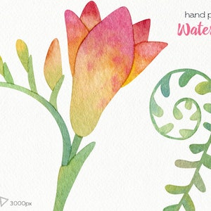 Watercolor Tropical Clipart / Summer Tropical Leaves and Flowers ...