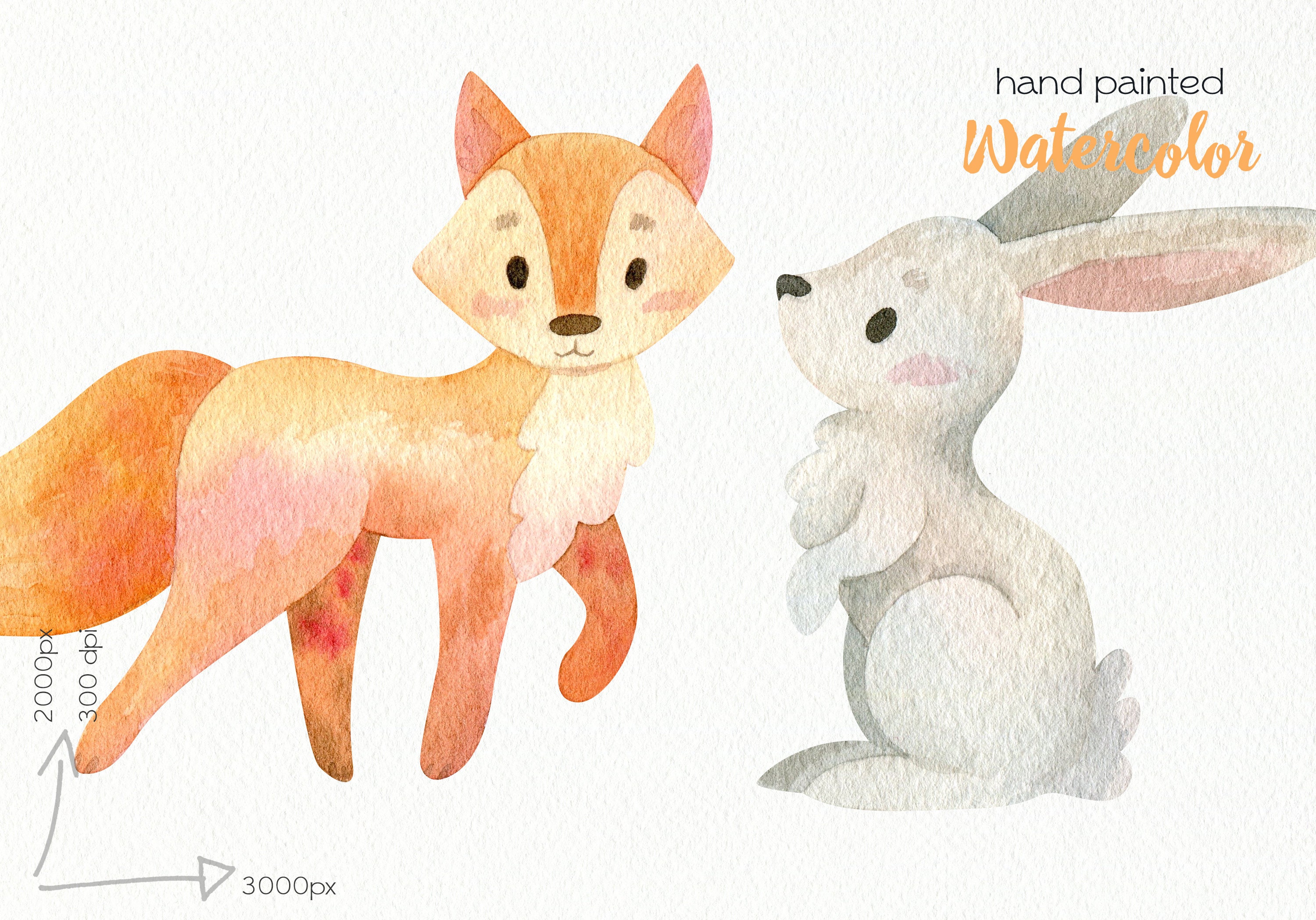 Watercolor Forest Animals Clipart / Woodland Animals / PNG - Etsy