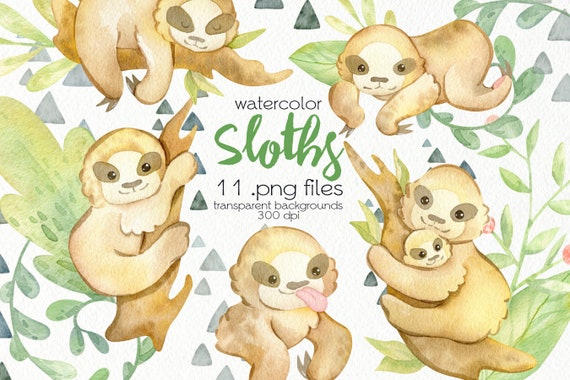 Watercolor Sloth Clipart / Cute Tropical Animal / Digital PNG | Etsy