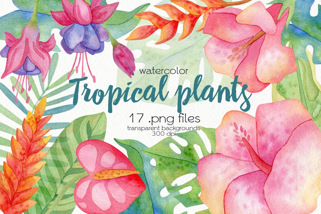 Tropical Leaves and Flowers Clipart / Watercolor Floral / Vriesia ...