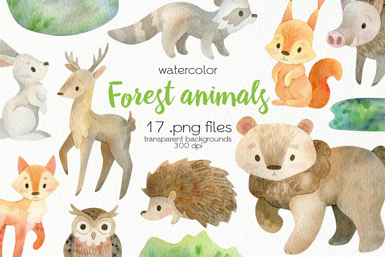 Watercolor Forest Animals Clipart / Woodland Animals / PNG - Etsy