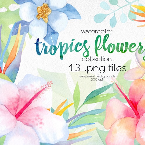 Watercolor Tropical Flowers Clipart / Hawaii Clipart / Calla - Etsy