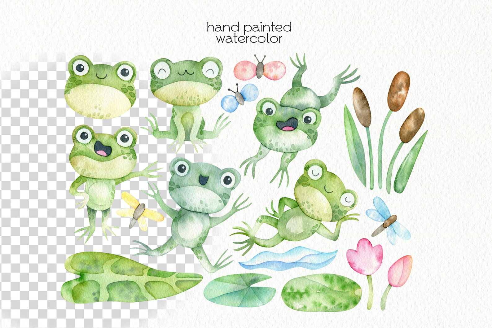 Watercolor Frog Clipart / Cute Swamp Animals / PNG Files / - Etsy
