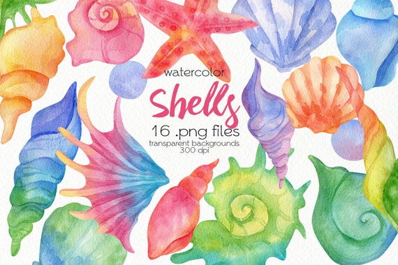 Watercolor Seashells Clipart / Summer Beach / PNG Files / | Etsy