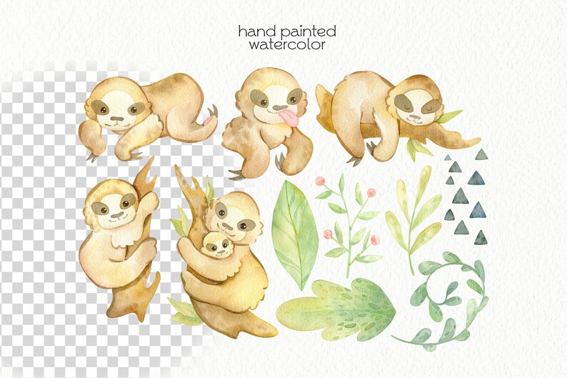 Watercolor Sloth Clipart / Cute Tropical Animal / Digital PNG - Etsy