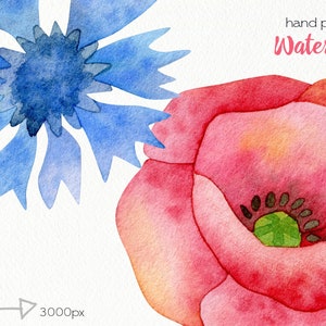 Dzikie Kwiaty Clipart / Maki i Chabry / Akwarela Kwiatowa / Pliki PNG ...