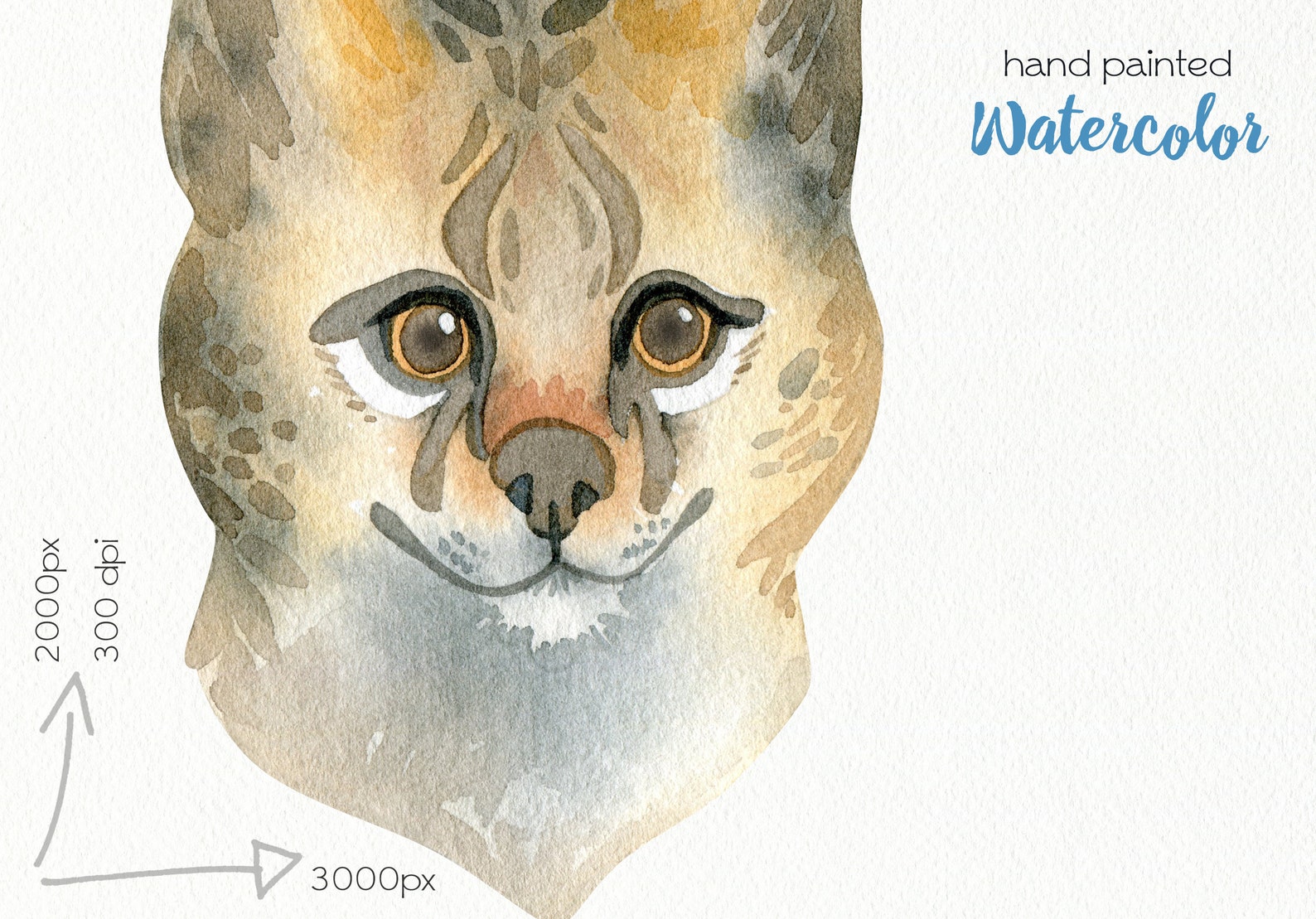 Cute Wild Cats Clipart / Hand Painted Watercolor Animals / | Etsy