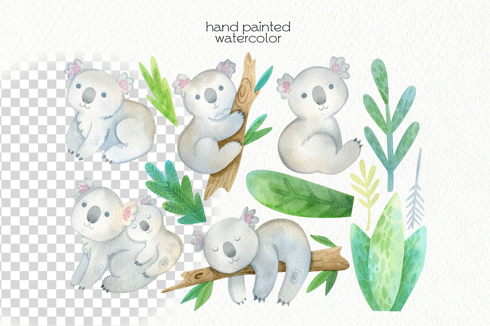 Watercolor Koala Clipart / Australian Wildlife / PNG Files / - Etsy