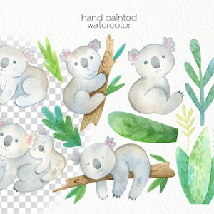 Watercolor Koala Clipart / Australian Wildlife / PNG Files / Instant ...