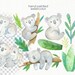Watercolor Koala Clipart / Australian Wildlife / PNG Files / Instant ...