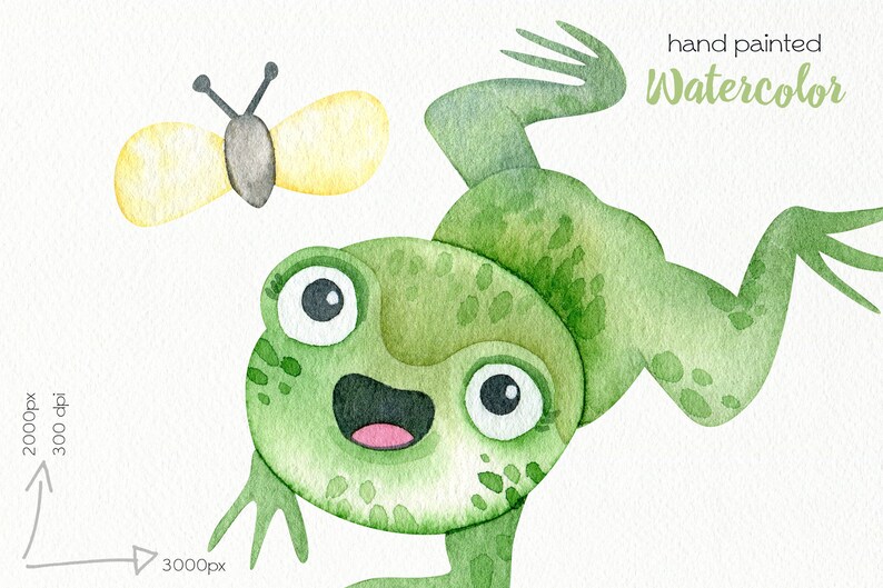 Watercolor Frog Clipart / Cute Swamp Animals / PNG Files / - Etsy