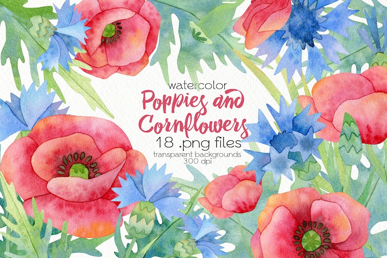 Wild Flowers Clipart / Poppies and Cornflowers / Watercolor - Etsy