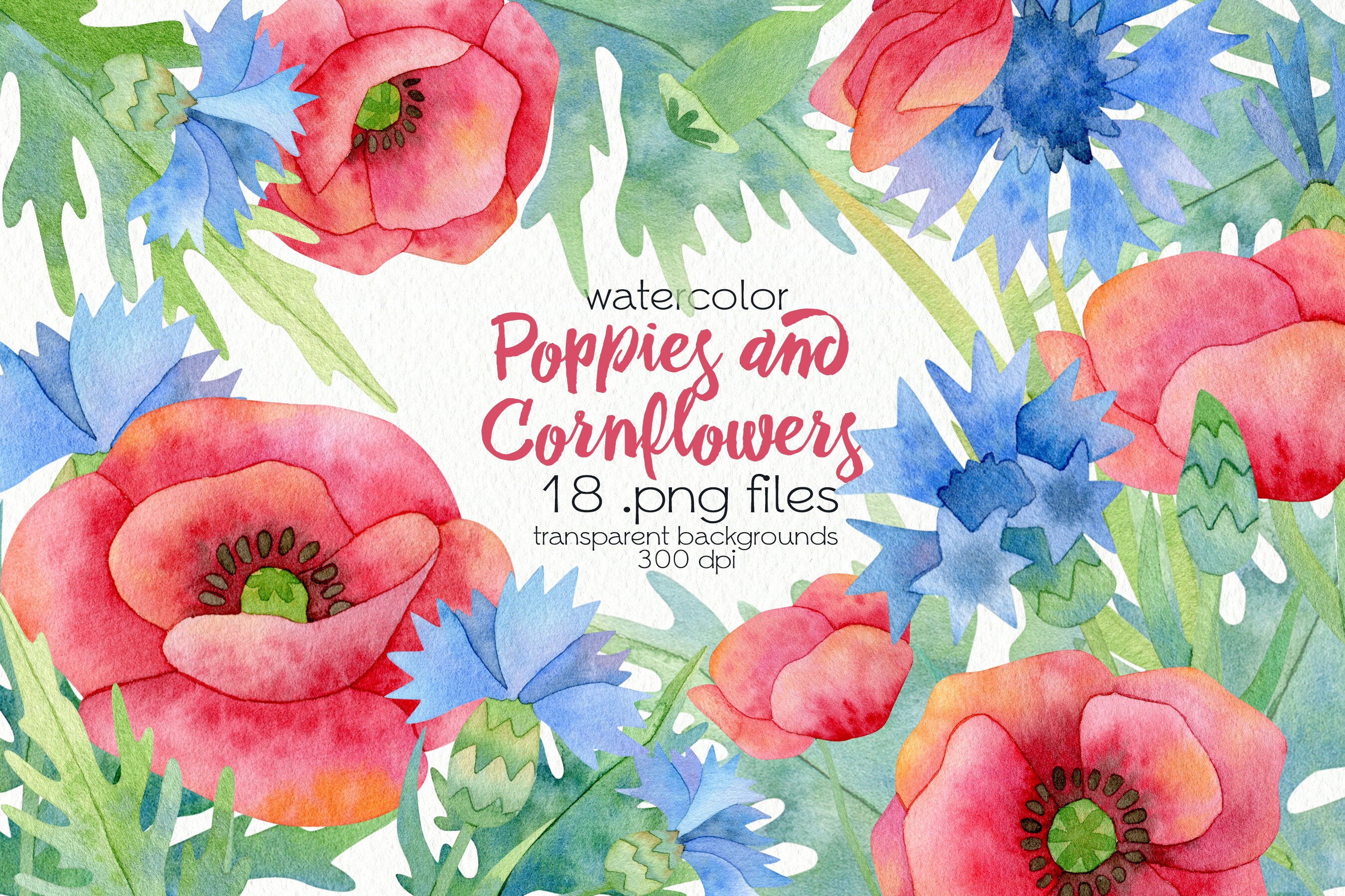Dzikie Kwiaty Clipart / Maki i Chabry / Akwarela Kwiatowa / Pliki PNG ...