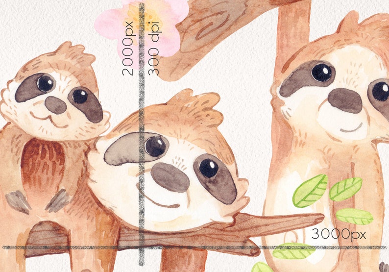 Watercolor Sloth Clipart / Cute Tropical Sleepy Sloth / - Etsy