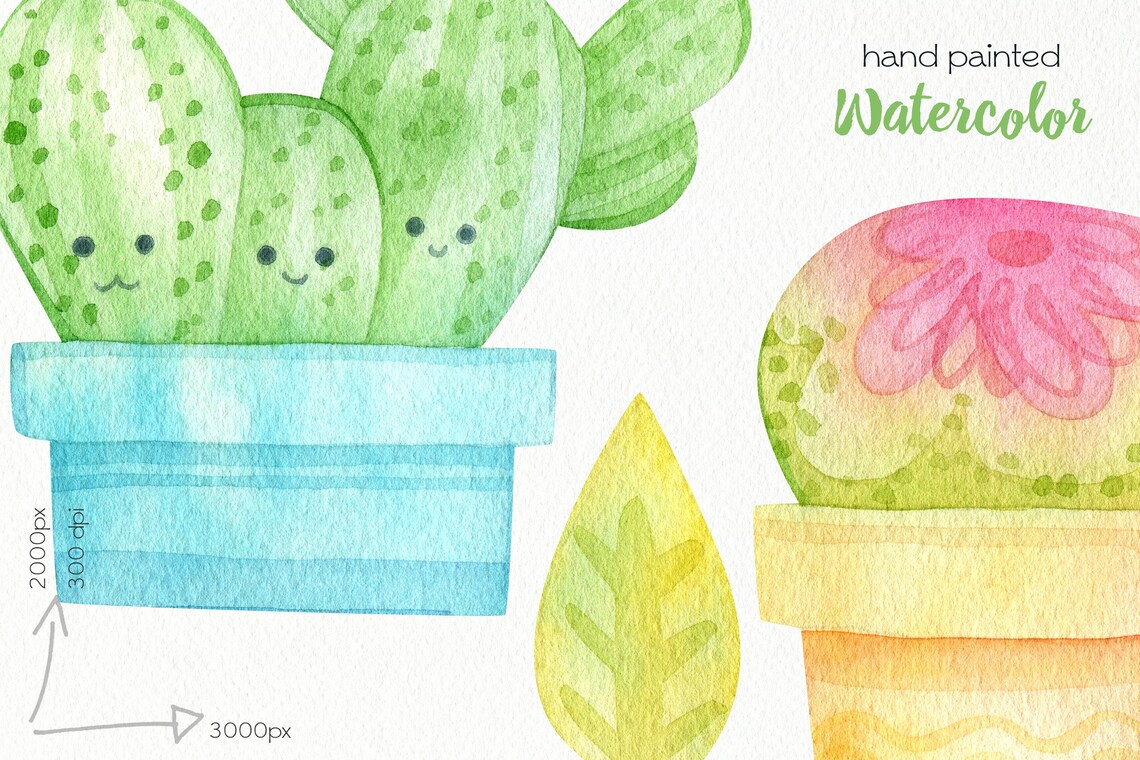 Watercolor Cactus Clipart / Cute Succulents / PNG Files / Instant ...