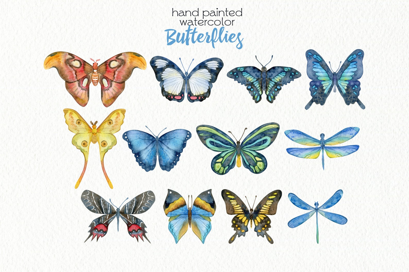 Butterflies Clip Art / Hand Painted Watercolor Butterfly / - Etsy