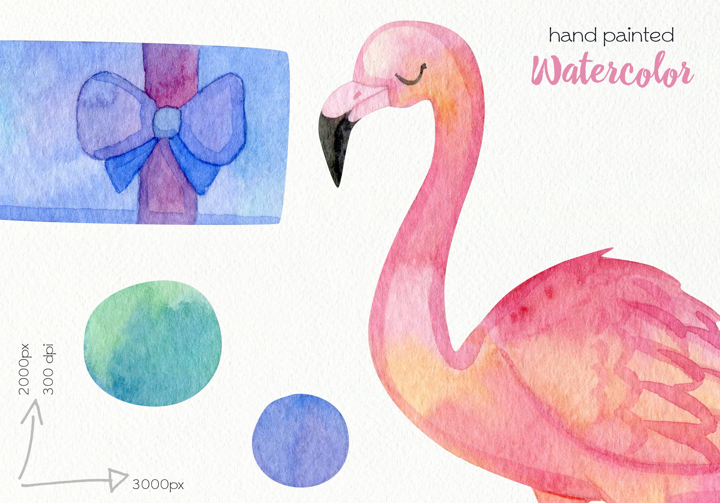 Watercolor Summer Flamingo Clipart / Tropical Birds / Exotic - Etsy