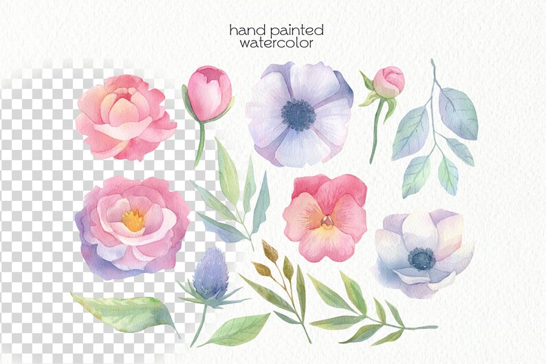 Watercolor Spring Flowers Clipart / Peonies, Anemones, Pansies / PNG ...