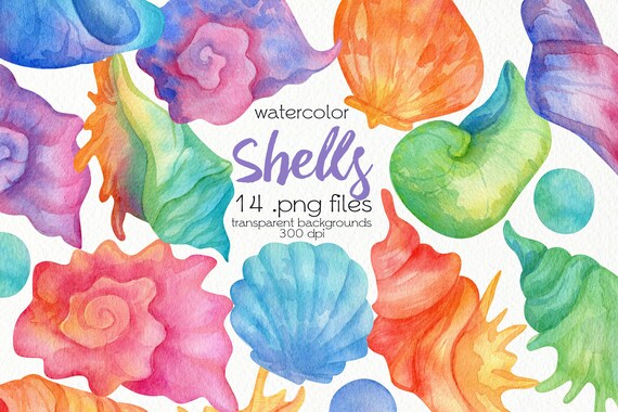 Watercolor Seashells Clipart / Summer Beach / PNG Files / | Etsy