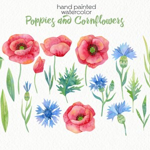 Dzikie Kwiaty Clipart / Maki i Chabry / Akwarela Kwiatowa / Pliki PNG ...