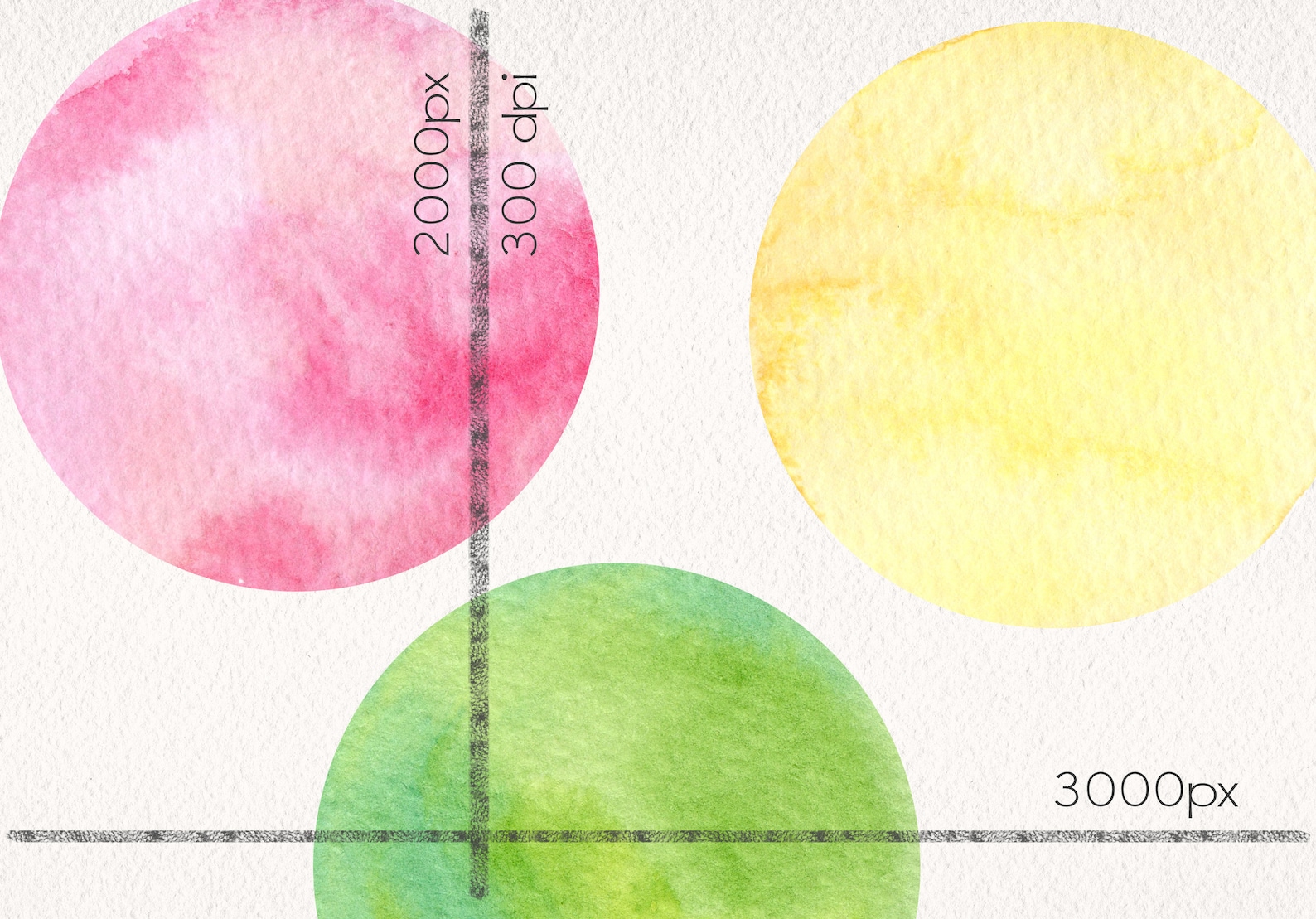 Watercolor Circles Clip Art / Hand Painted Shapes / Colorful - Etsy