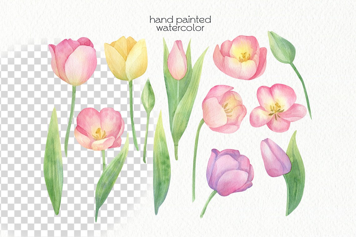 Watercolor Tulip Clipart / Spring Flowers / PNG Files / - Etsy