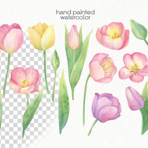 Watercolor Tulip Clipart / Spring Flowers / PNG Files / Instant ...
