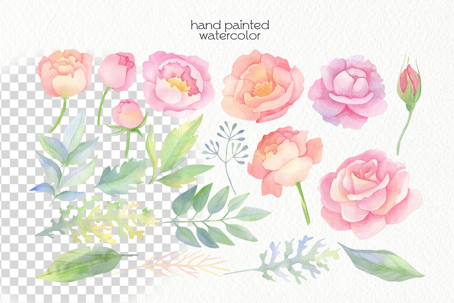 Watercolor Spring Flowers Clipart / Peony Flowers / PNG Files - Etsy