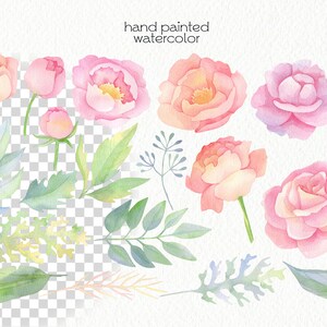 Watercolor Spring Flowers Clipart / Peony Flowers / PNG Files / Instant ...