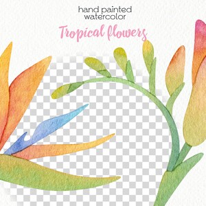 Watercolor Tropical Clipart / Summer Tropical Leaves and Flowers ...