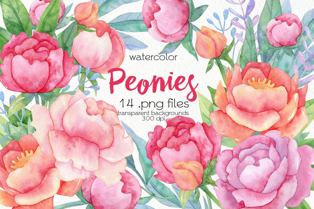 Watercolor Spring Flowers Clipart / Peony Flowers / PNG Files / Instant ...